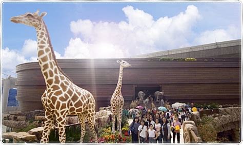 【노아의 홍수 때 노아의 방주 발견】 노아 영화 홍수 폭우 피해 지진 해일 쓰나미 폭풍 태풍의 피해 현대판 네이버 블로그