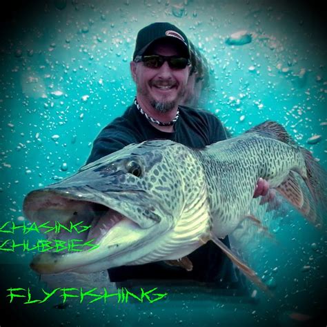 Aopolasc9rmqt9oeot64dgjigqh8sbwfzo11cykjoitxs900 C K C0x00ffffff No Rj