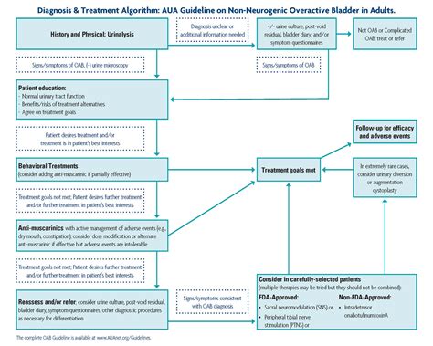 Sufu Winter Meeting 2013 Overview Of Auasufu Overactive Bladder Guidelines Session Highlights