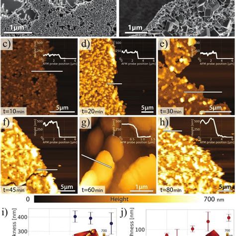 Pdf Conductive Hybrid Cu‐hhtp‐tcnq Metalorganic Frameworks For Chemiresistive Sensing