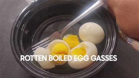 Rotten Boiled Egg Gasses The Rabbit H Clips4sale