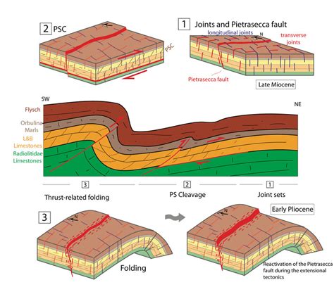Cartoon Representing The Tectonic Evolution Of The Study Area 1