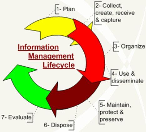 Pie Chart Chart Diagram