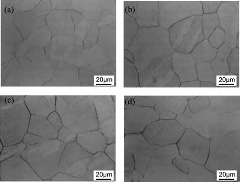 Optical Micrographs Of Tntz And Tntz­ 1 3 5 Mo Subjected To Cold