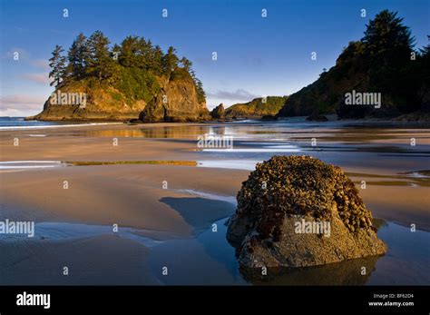 Morning Light On Pewetole Island Trinidad State Beach Humboldt County