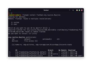How To Install The Ryujinx Emulator On Linux LinuxForDevices