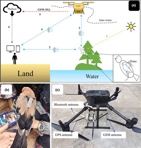 Overview Of The Integrated Tracking System A Schematic Diagram Of Download Scientific