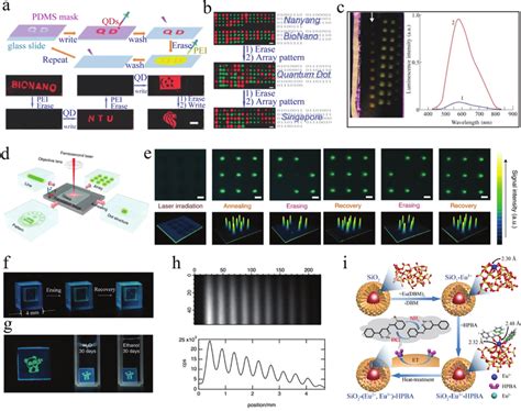 A Diagram Of The Data Writing And Erasing Process Of Cdte Qds Based