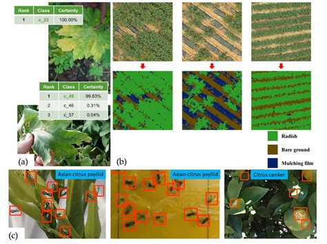 Applications Of Deep Learning For Crop Stress Detection Based On