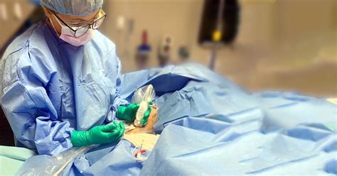 How Are PICC Lines Inserted Vascular Wellness