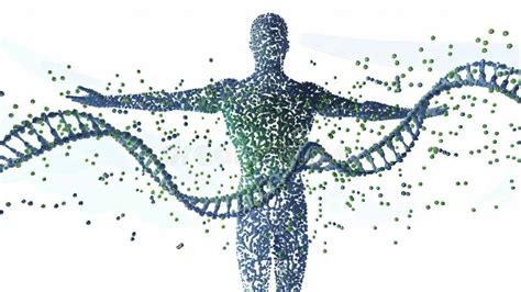A Human Figure Made Of Dna Strands With A Double Helix Extending