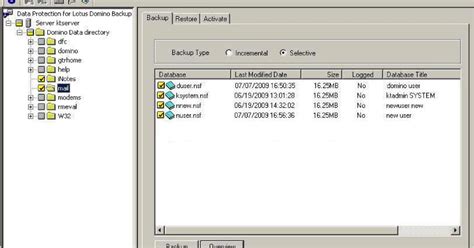 Steps To Backup And Restore Lotus Domino Mail Servers Using Ibm Tsm For