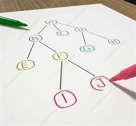Data Structure Illustration Stock Image F029 0518 Science Photo Library