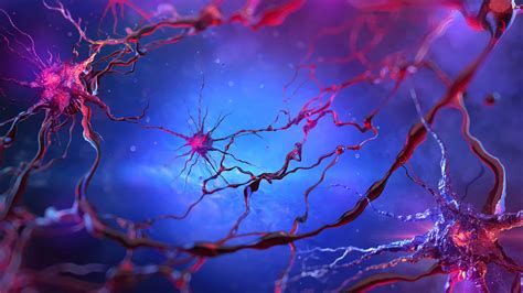 100 Brain Backgrounds