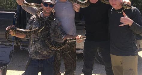 Ramsay Python Theme Park Tribune