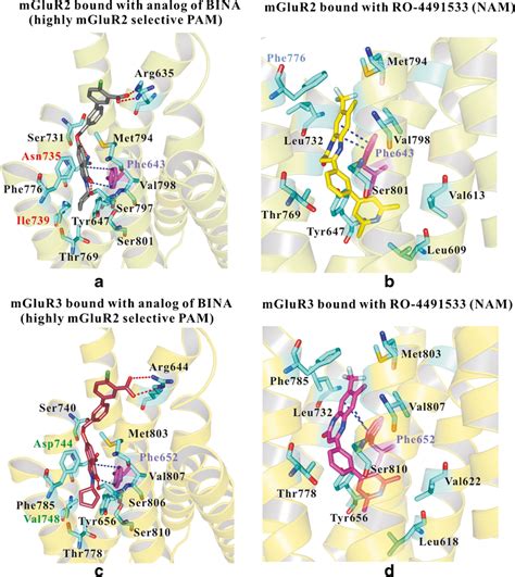 Comparisons Of The Binding Modes And The Selective Residues Between