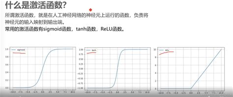 Torch激活函数，优化器，损失函数（二）torch Mfu Csdn博客