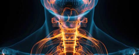 22 000 Thyroid Regulation Pictures