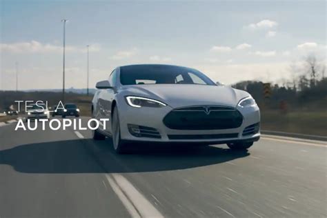 머니네버슬립 테슬라 오토파일럿 잡음 지속 딜사이트