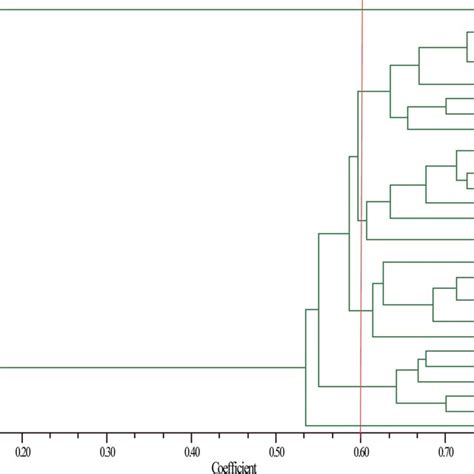 Cluster Analysis Of The 29 Lines Based On Ssr Molecular Marker Data