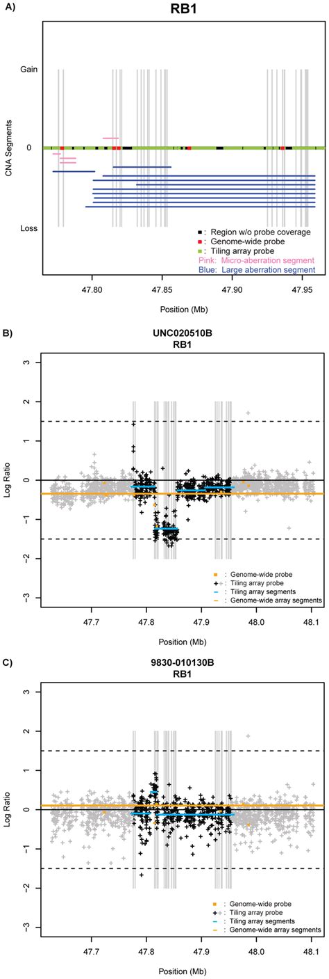 Comparison Of Hd Acgh Tiling Array And 109k Illumina Snp Platform