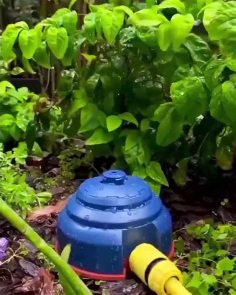 Priya Singh Posted On Linkedin