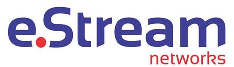 E Stream Hr Transformation Project Haynes And Atkinson Consulting