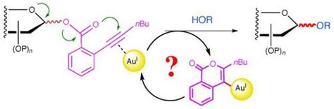 糖基邻炔基苯甲酸酯的金（i）催化糖基化中的异4 N 4 基金（i）中间体的表征及其催化效率的提高 Angewandte Chemie International Edition X Mol