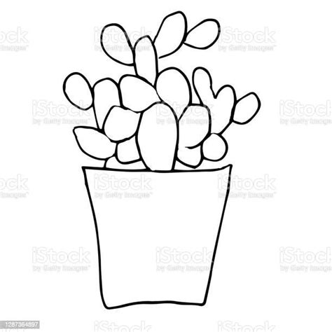 냄비에 하나의 선인장 검은 펜으로 그리기 흰색 배경에 손 그리기 하우스 플랜트 선형 도면 홈 장식 낙서 스타일 0명에 대한 스톡 벡터 아트 및 기타 이미지 Istock
