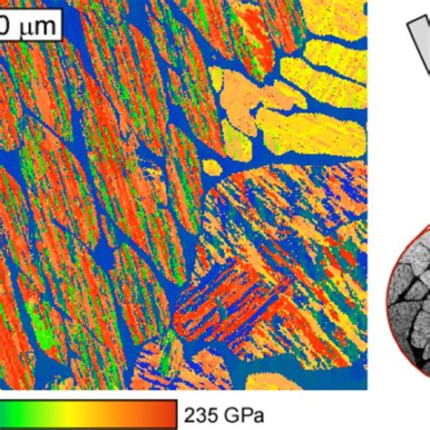 An Elastic Modulus Map For A Forged Steel Golf Club Head The Modulus