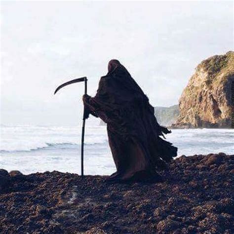 Listen To El Pico El Comando Exclusivo 2017 Mp3 By Jose Valdez In Weed