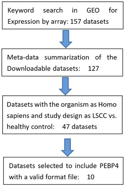 Workflow For Expression Data Selection For Meta Analysis Geo Gene Download Scientific Diagram