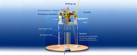 Tlp Floating Production Systems Modec