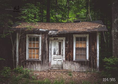 Miranda Stoddard Photography 224 365