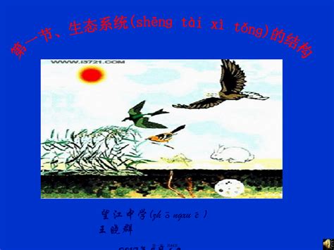 人教版高中生物必修三第五章第1节《生态系统的结构》 课件 共43张ppt Word文档免费下载 亿佰文档网