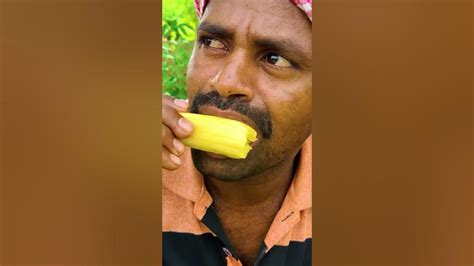 Sweet And Yummy Jackfriut In Village Cooks Youtube