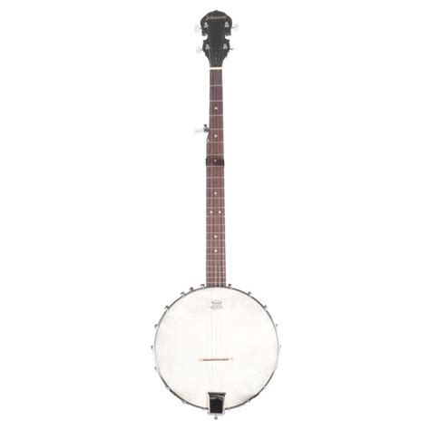 Johnson Open Back Five String Banjo With Remo Head And Soft Shell