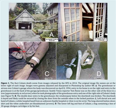 New Forensic Report Labels Kurt Cobains Death A ‘homicide Alleges
