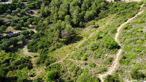 Sex Associates Drone Catches Young Couple Fucking Outdoors Justpornto