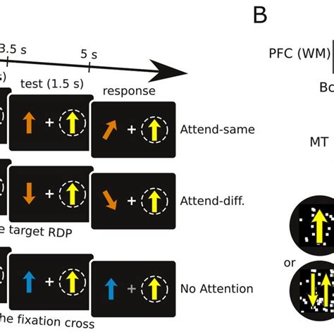 Schematic Description Of Simulated Task And Model Architecture Download Scientific Diagram