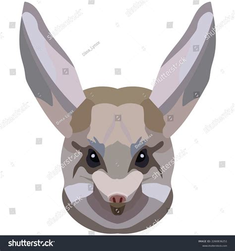 Jerboa Face Illustration Muzzle Rodent Depicted Stock Vector Royalty Free 2260836251