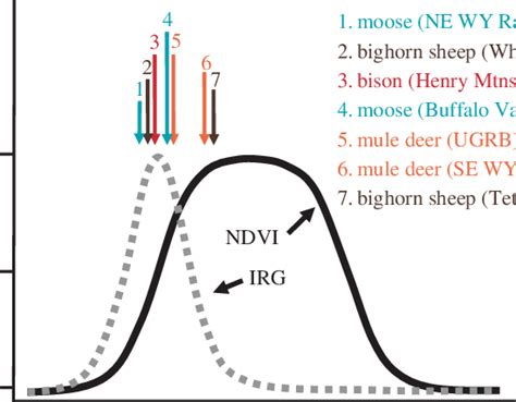 selection for the leading edge trailing edge or crest of the irg wave
