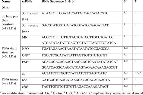 Sequences Of Small Dna Constructs Download Scientific Diagram