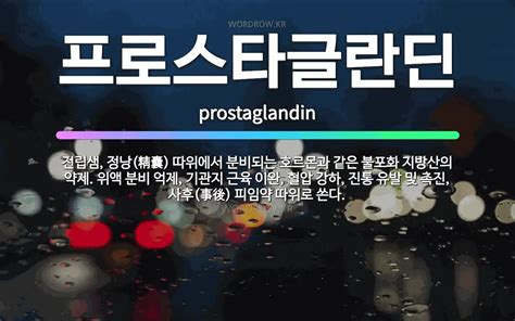 🌟프로스타글란딘 전립샘 정낭精囊 따위에서 분비되는 호르몬과 같은 불포화 지방산의 약제 위액 분비 표준국어대사전