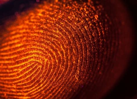 Hackers Stealing Fingerprint Data Real Danger Say Researchers