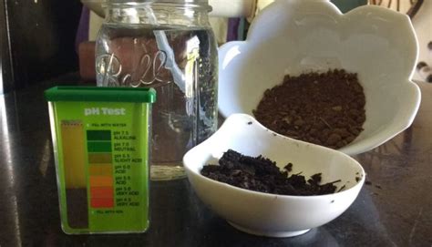 At Home Soil Test Kits How To Use Them And Why You Should The Grow Network The Grow