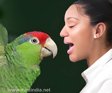 Novel Neural Circuits Behind Vocalization And Its Rhythms