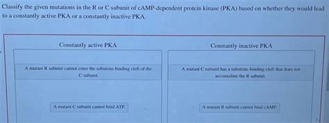 solved classify the given mutations in the r or c subunit of