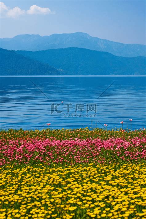 湖花海高清特写图高清摄影大图 千库网