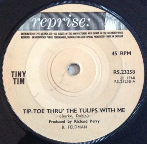Tiny Tim Tip Toe Thru The Tulips With Me I Got You Babe Solid Label Vinyl Discogs